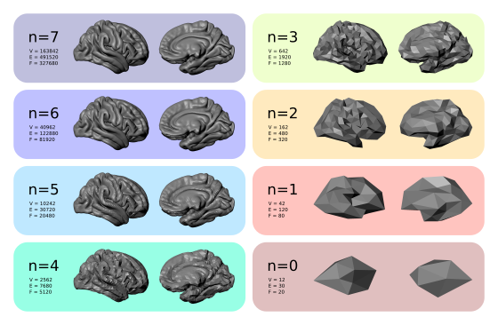 Downsampling (decimating) a brain surface | Brainder.