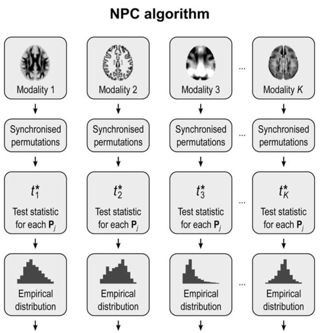 Non-Parametric Combination (NPC) for brain imaging | Brainder.